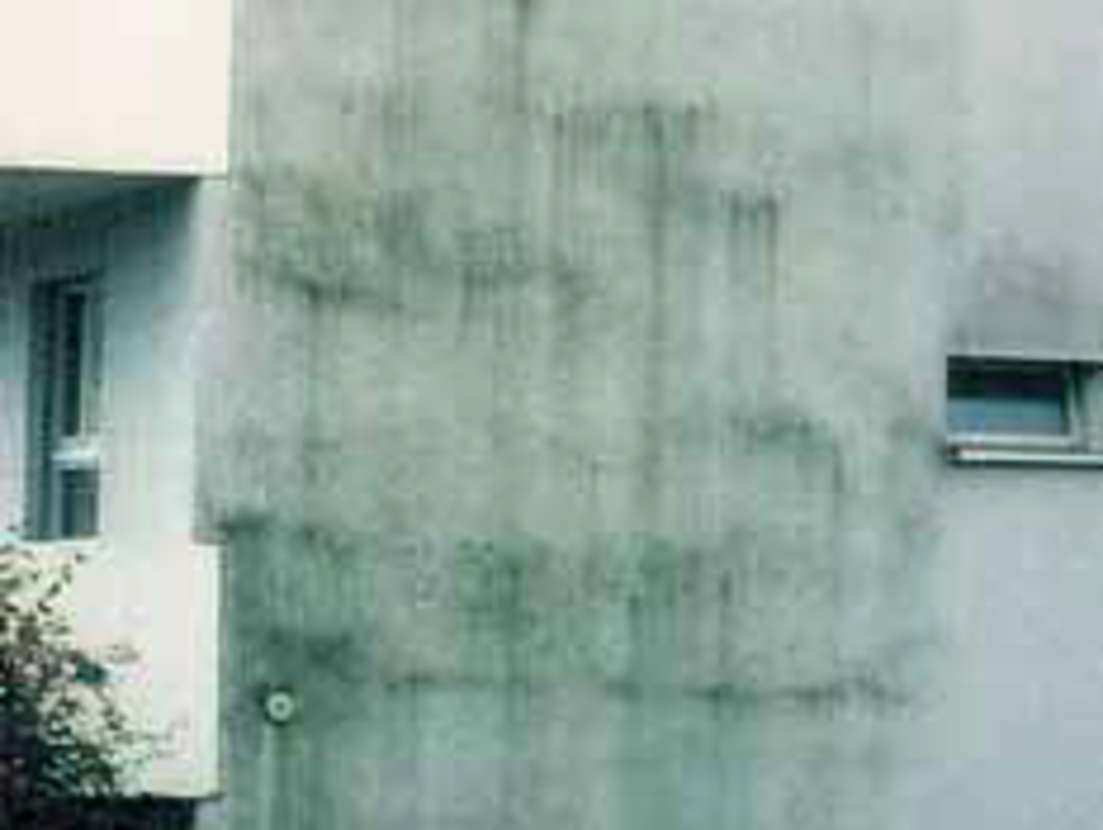 Water vapour diffusion: Ampack