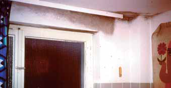 Water vapour diffusion: Ampack